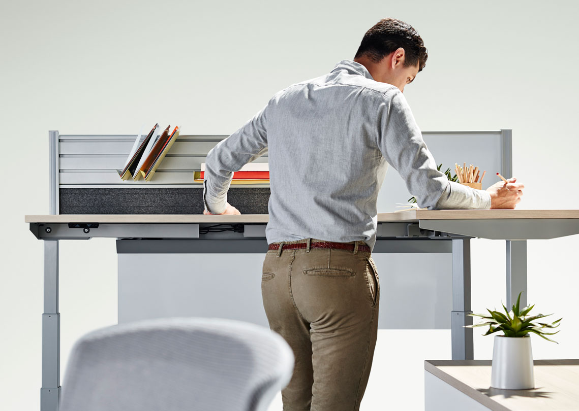 The Importance of Ergonomics in The Workplace - Tayco