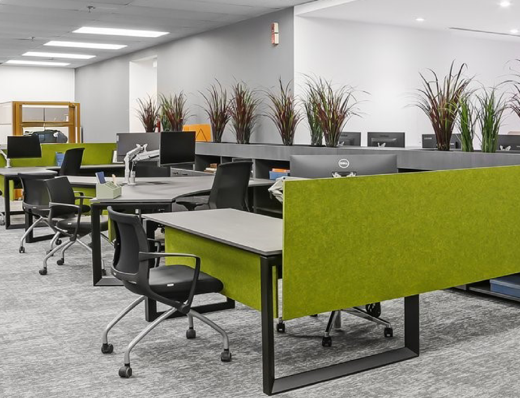 Trailblazing Women Designers: Driving Tayco’s New Office Renovation - Tayco